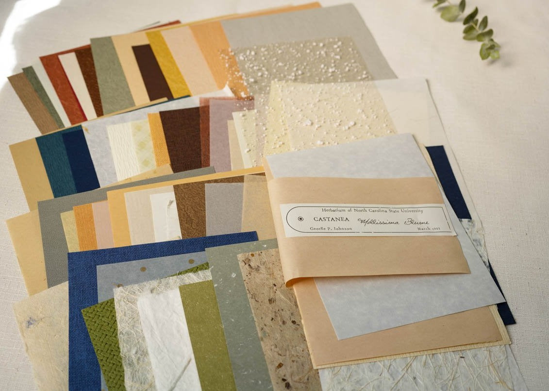 Handmade Paper Bundle – Desk Gems